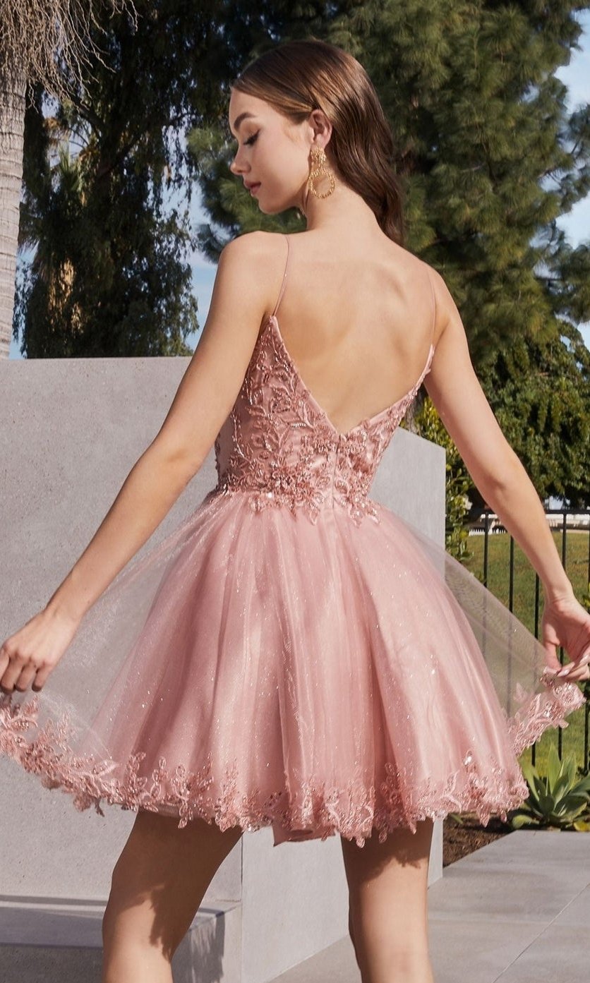 Embroidered Trim Short Homecoming Dress - PromGirl